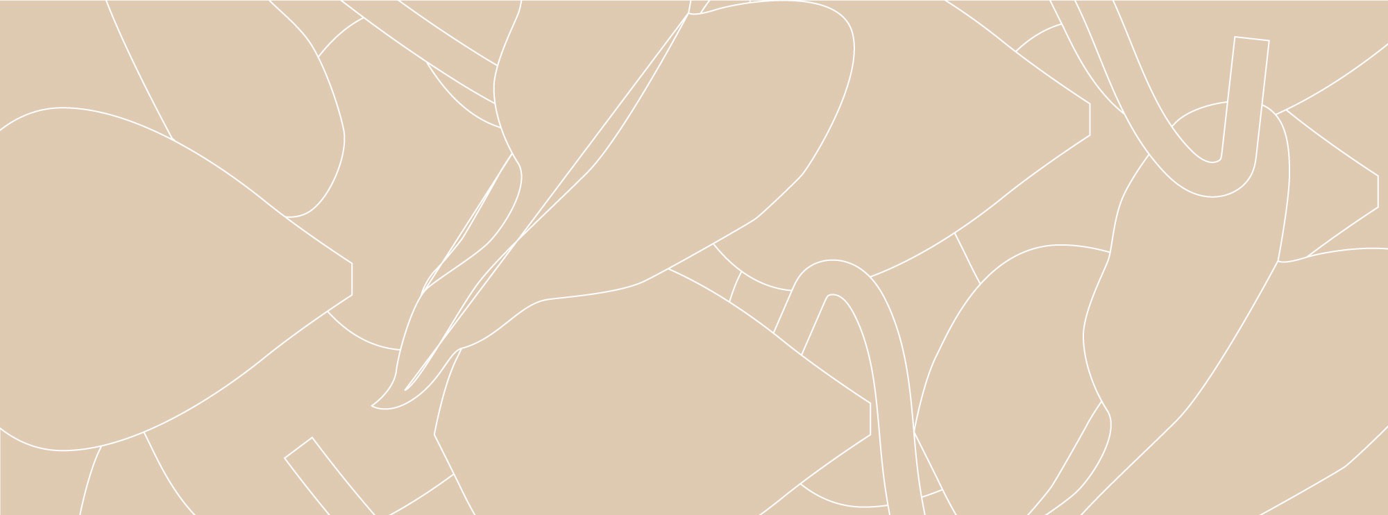 La maison de Joséphine - ÈSB Studio · Rennes